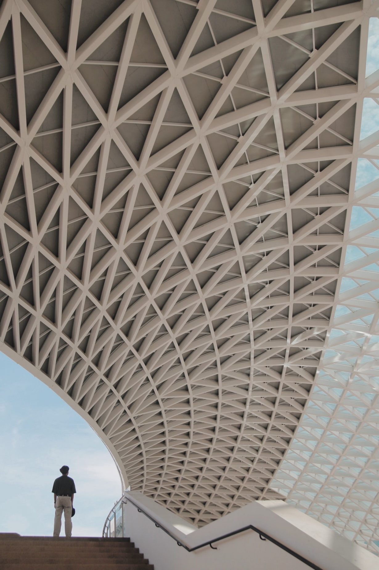 Home - Snap Insulated Panels